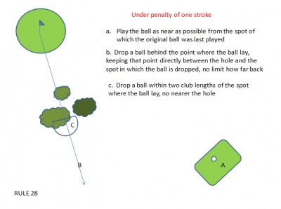 Unplayable Lie - USGA Rule of Golf 28 | Pinchaser